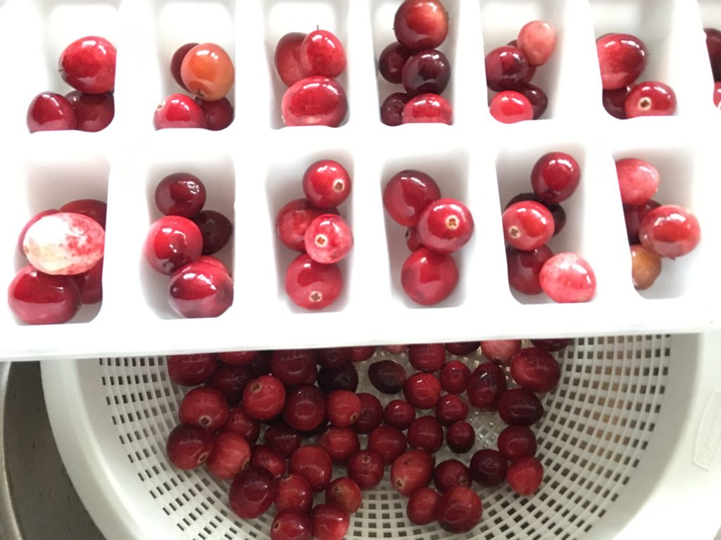 Cran-Raspberry Sparkling Iced Tea - Basilmomma